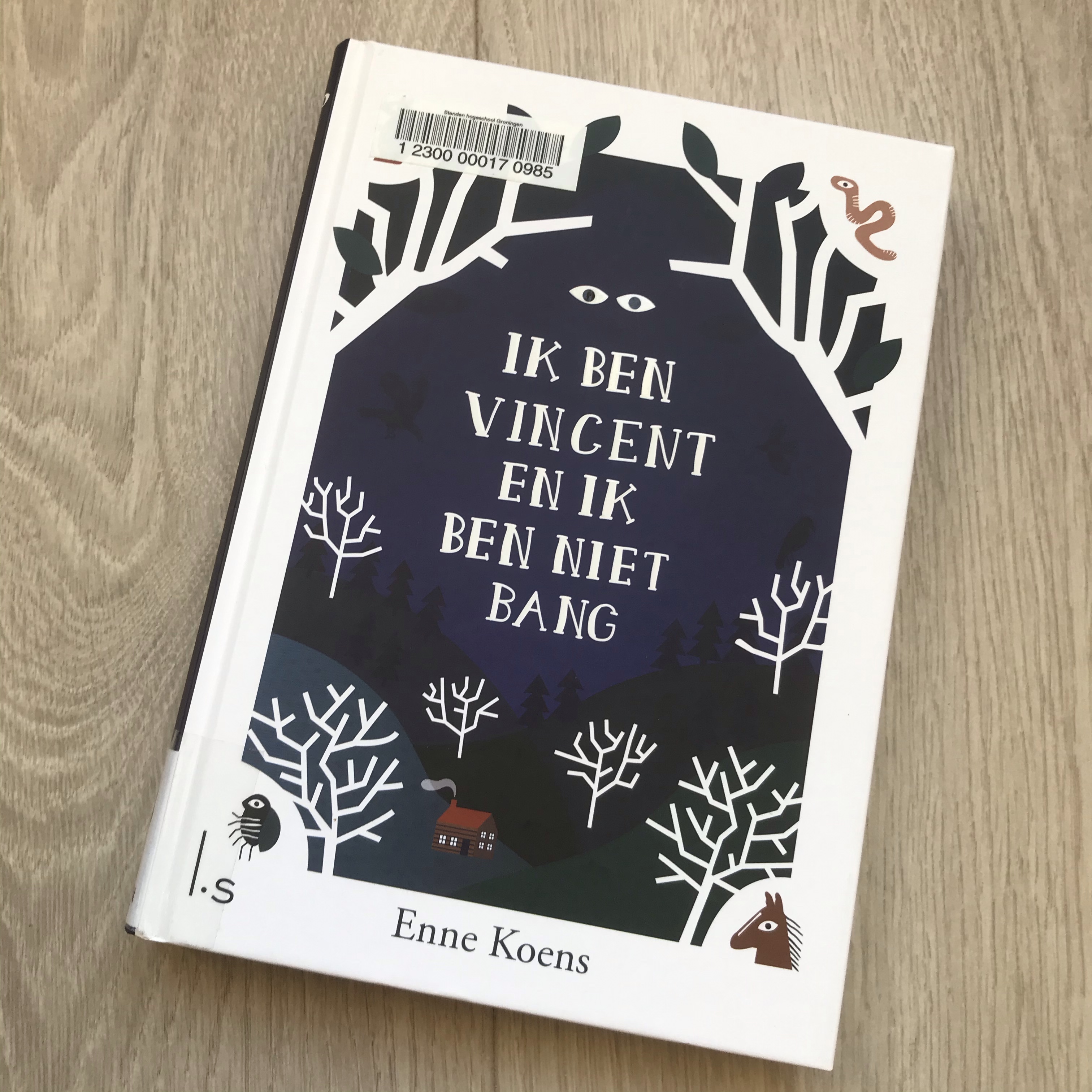 Ik ben Vincent en ik ben niet bang – Enne Koens – Wijs met taal