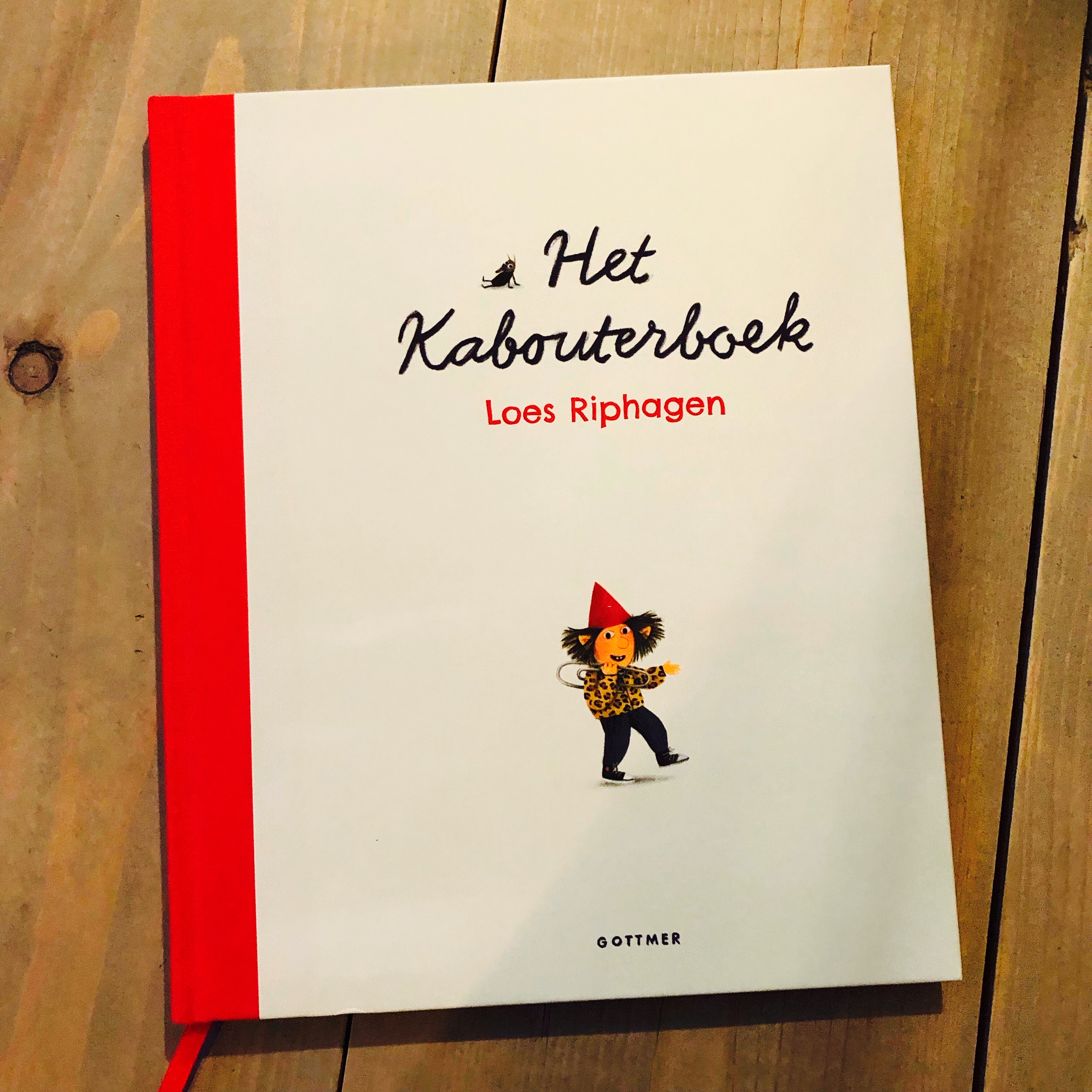 Het kabouterboek – Loes Riphagen – Wijs met taal