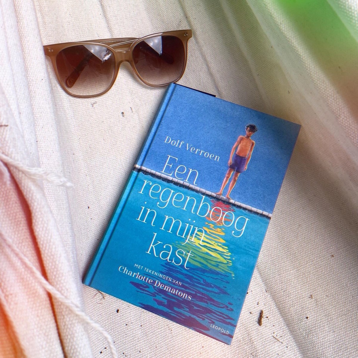 Een regenboog in mijn kast – Dolf Verroen – Wijs met taal